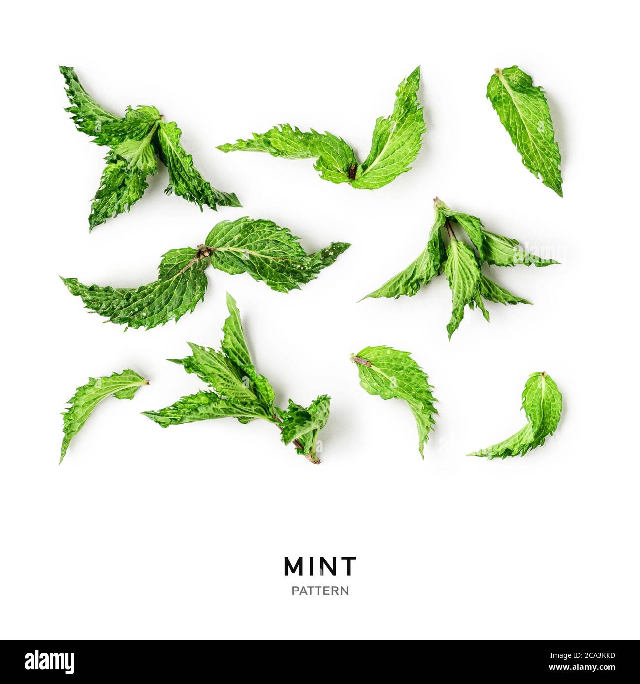 Creative pattern with fresh mint leaves. Composition and collection on ...