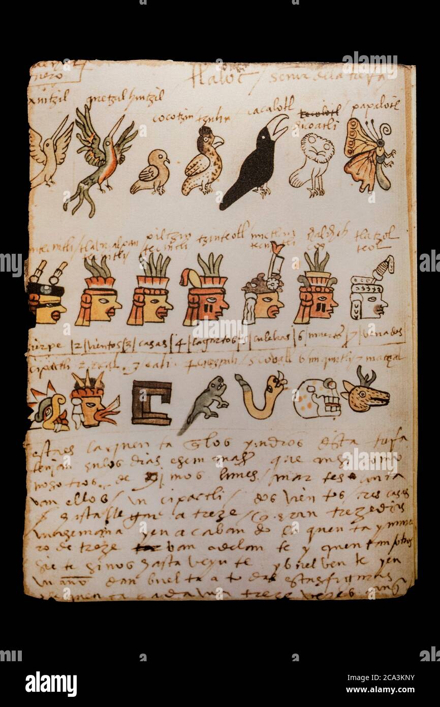 16th Century Pictorial Aztec Codex High Resolution Stock Photography ...