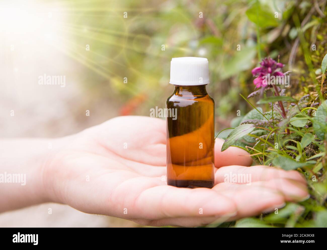 Bottle with extract on the palm - BACH THERAPY Stock Photo - Alamy