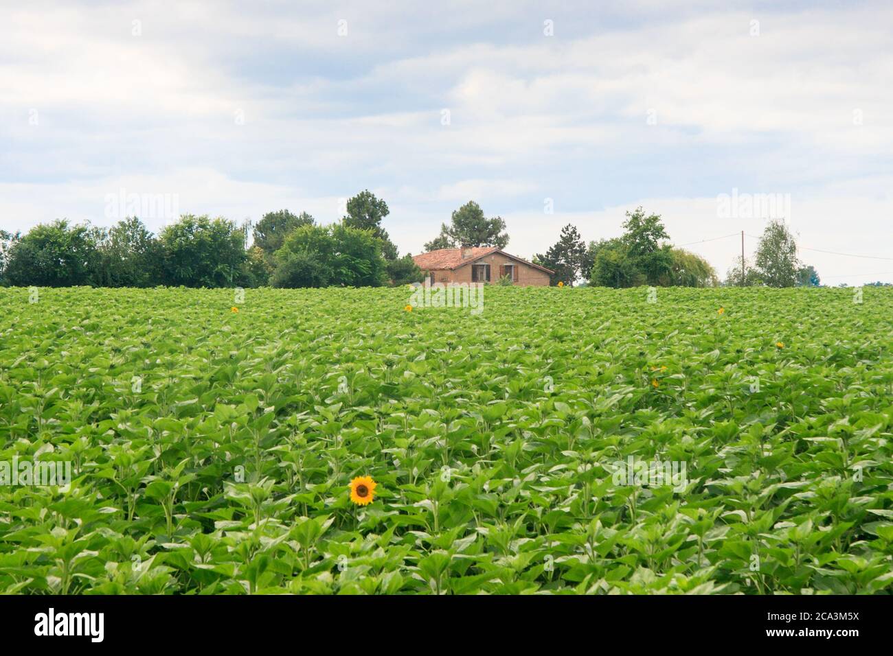 A Rural French Landscape Stock Photo - Alamy