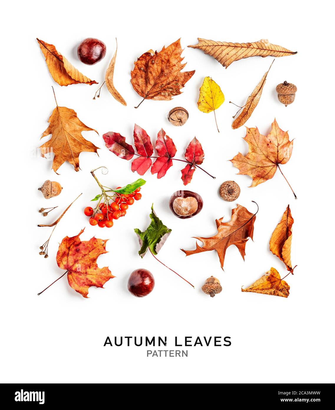 Creative pattern layout made Cut Out Stock Images & Pictures - Alamy