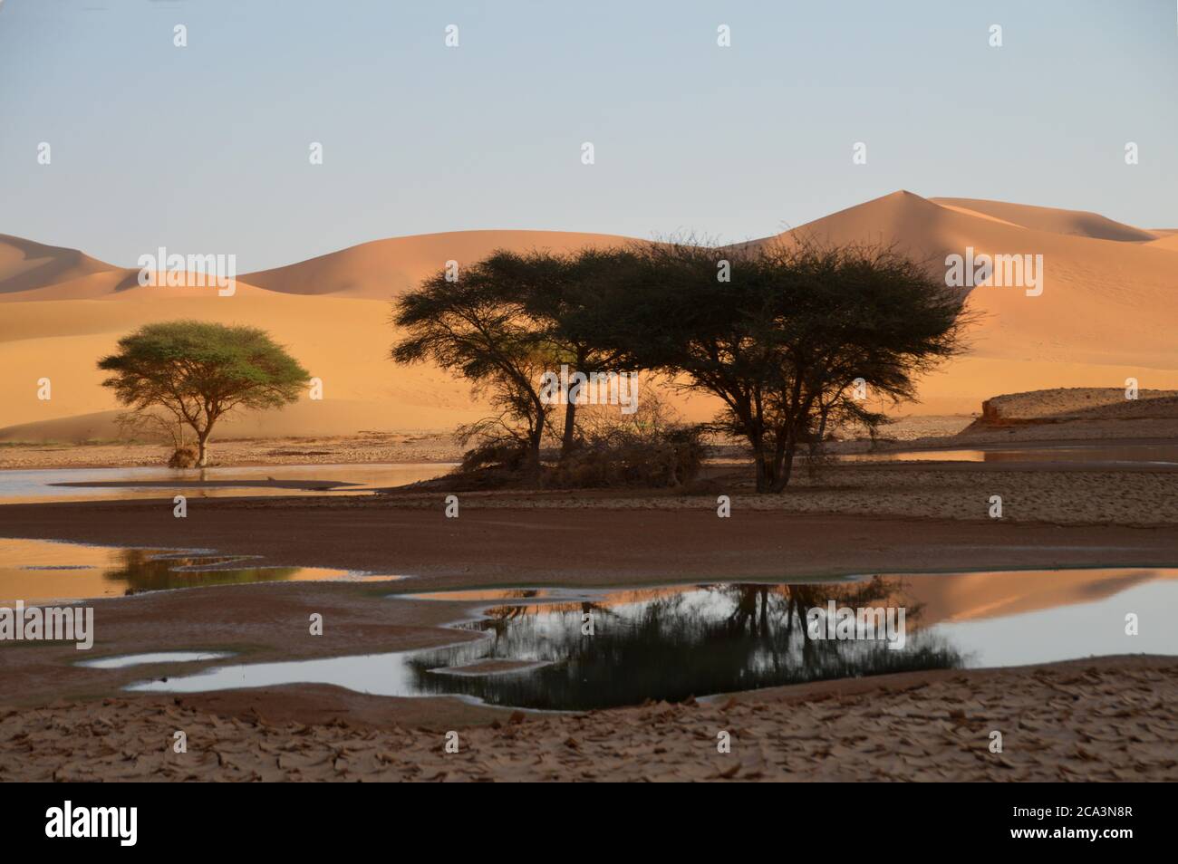 Algeria, Illizi, Tassili N'Ajjer National Park: Moul N'Aga sand dunes ...