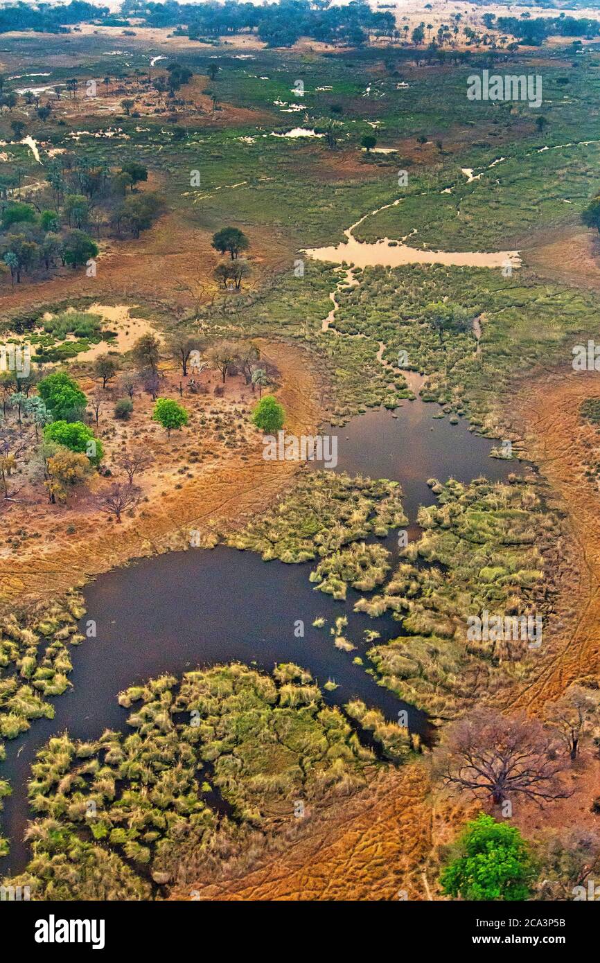 Aerial view, Okavango Wetlands, Okavango Grasslands, Okavango Delta ...