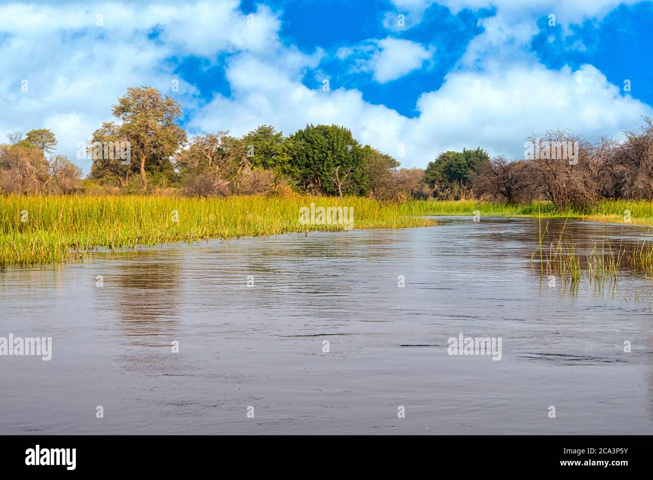 Okavango Wetlands Landscape, Okavango Delta, UNESCO World Heritage Site ...