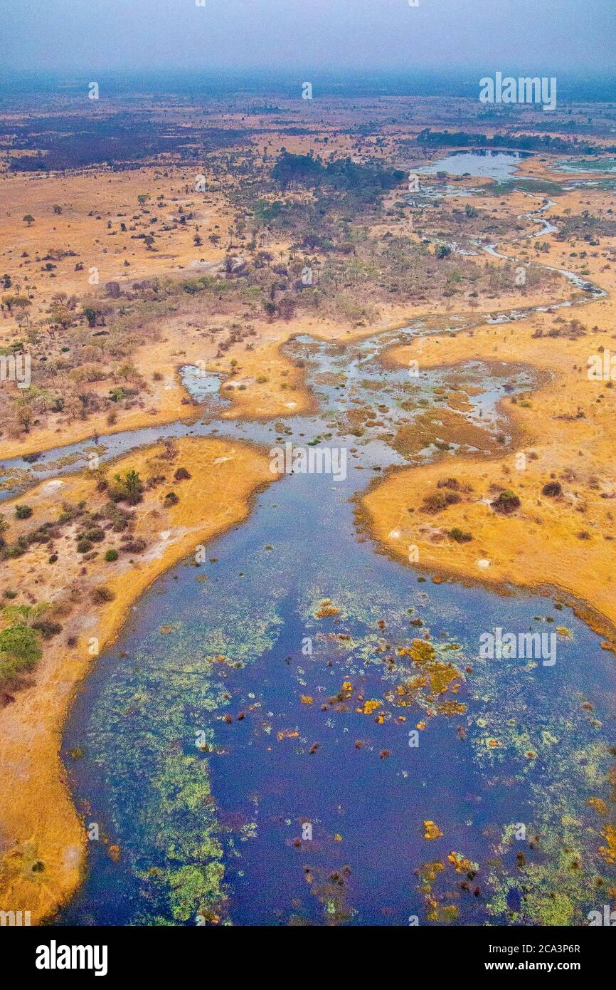Aerial view, Okavango Wetlands, Okavango Grasslands, Okavango Delta ...