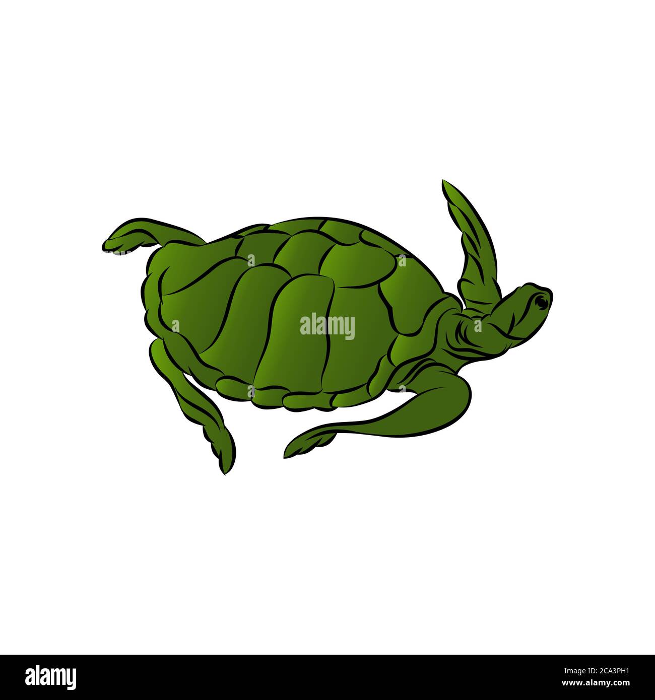 Turtle abstract Stock Vector Images - Alamy