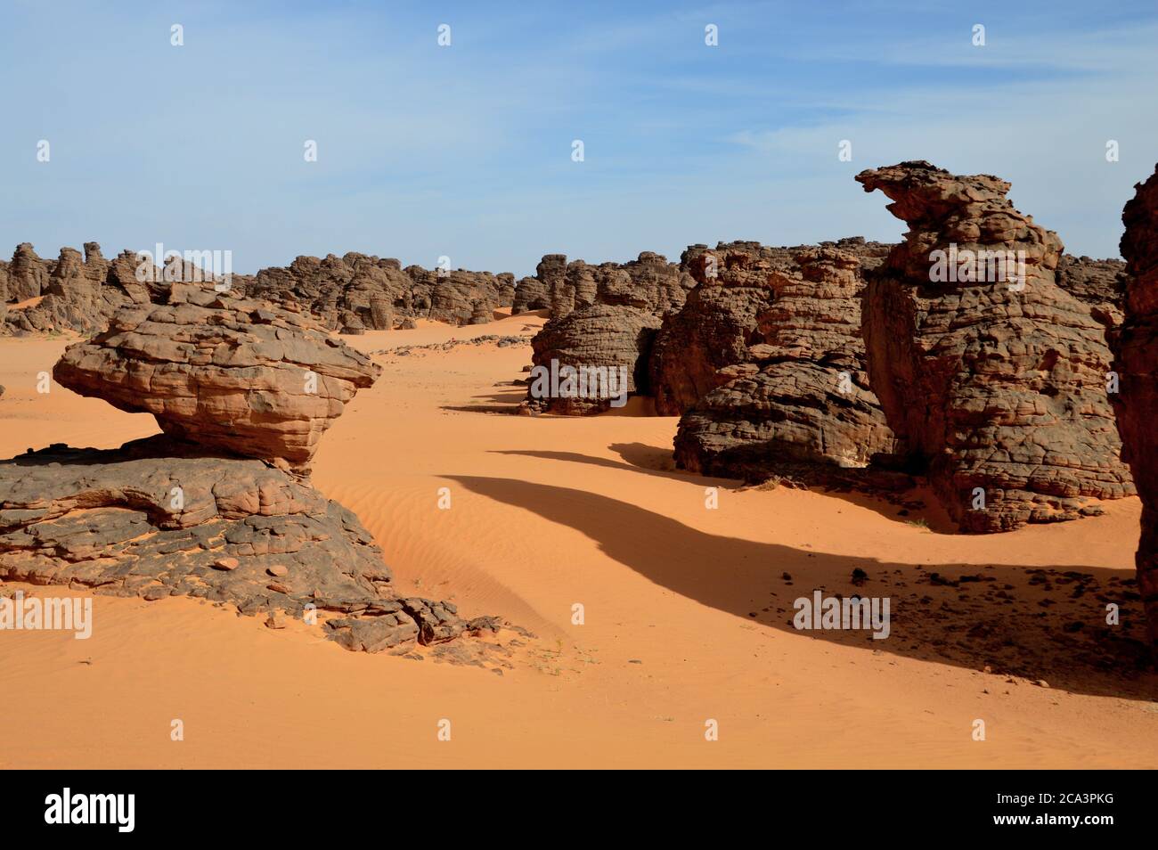 Algeria, Illizi, Tassili N'Ajjer National Park: part of the forest of ...