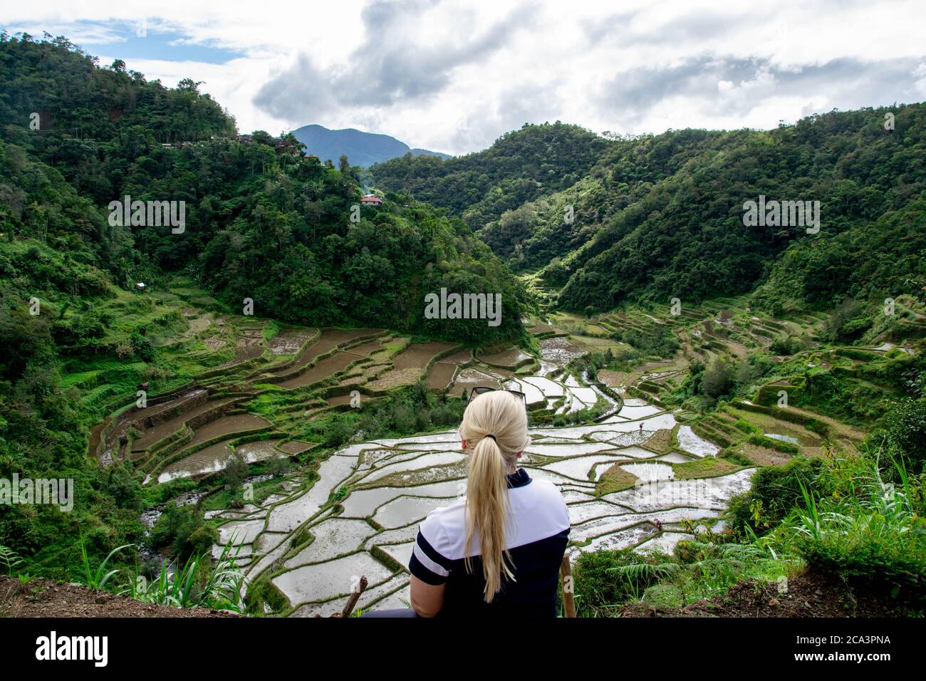 Solo traveler and blonde woman enjoying view of rice fields in the ...