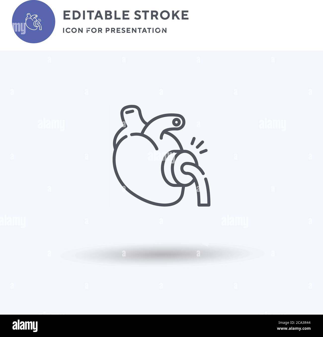 Organ icon vector, filled flat sign, solid pictogram isolated on white ...