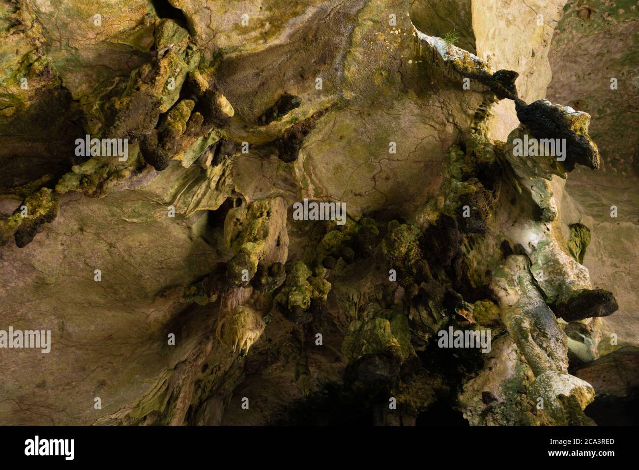 Old tunnel bat cave hi-res stock photography and images - Alamy