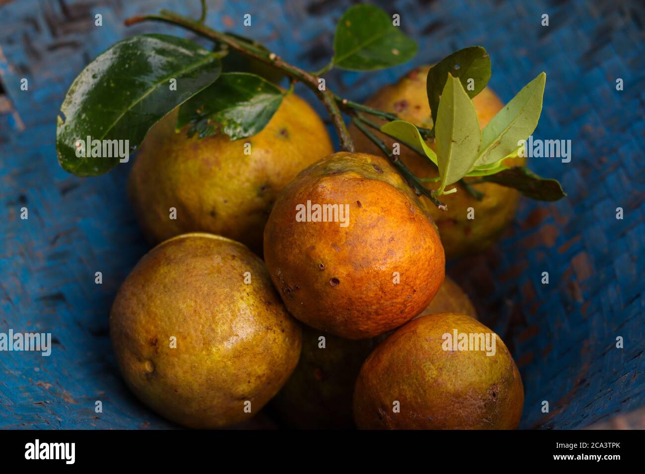 Yellow oranges hi-res stock photography and images - Alamy