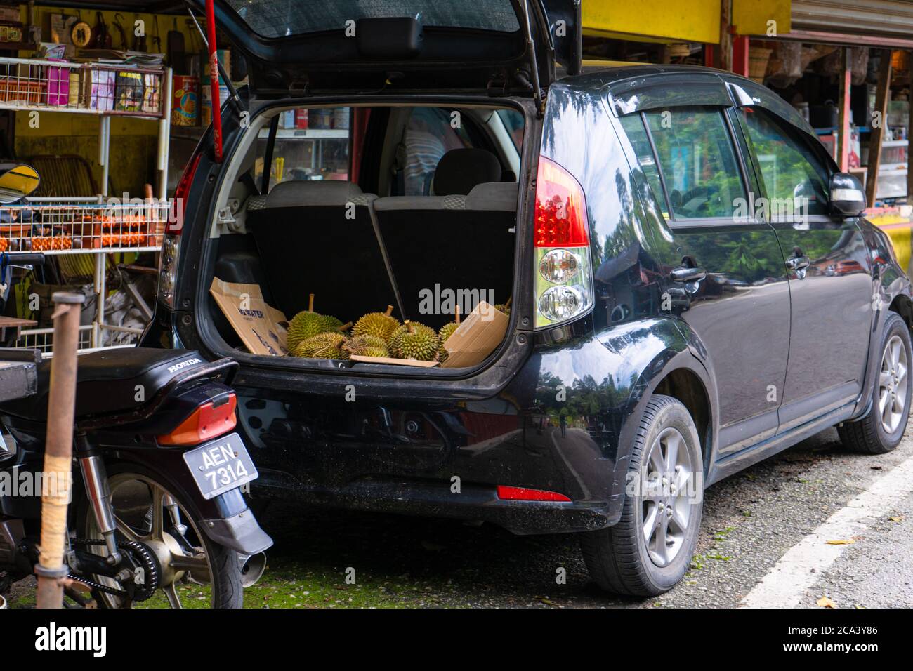 Asia fruit street market. Durian fruit is being sold from the trunk of ...