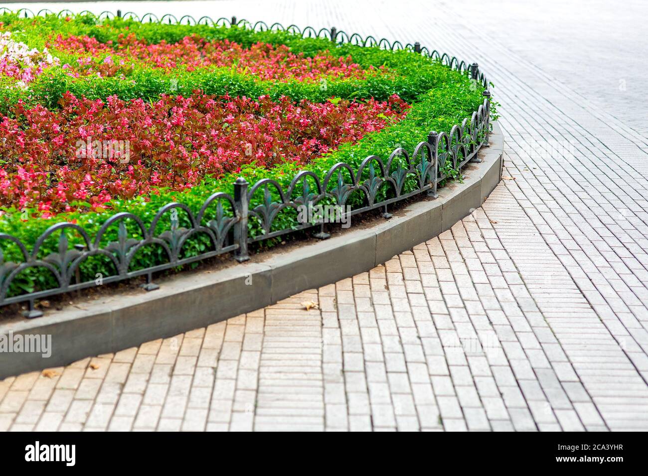 pedestrian pavement of tiles and a flower bed planted ornamental plants ...