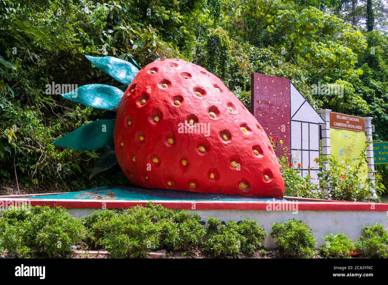 A sculpture of a huge red strawberry on the side of the road ...