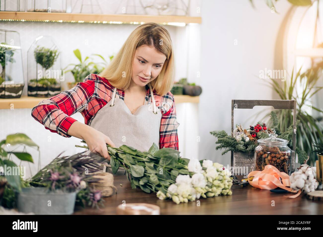 young beautiful lady florist at her own floral shop taking care of ...