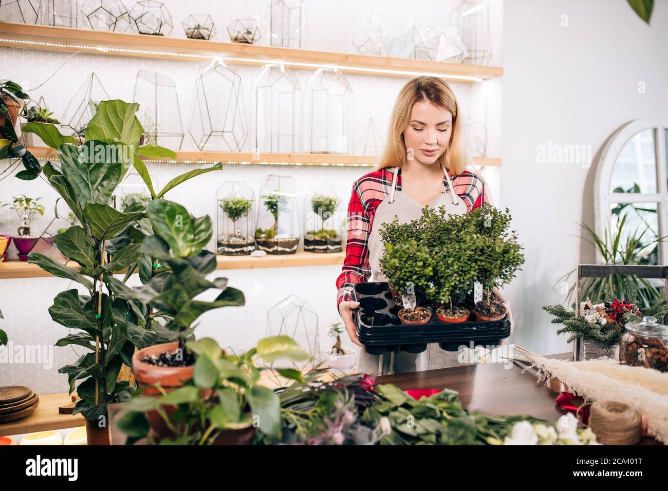 young and beautiful caucasian lover of plants and flowers look after ...