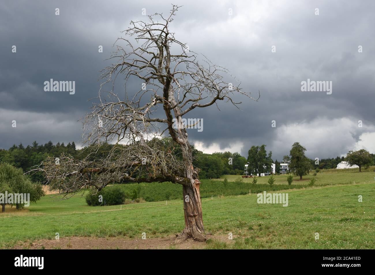 Dark and overcast hi-res stock photography and images - Alamy