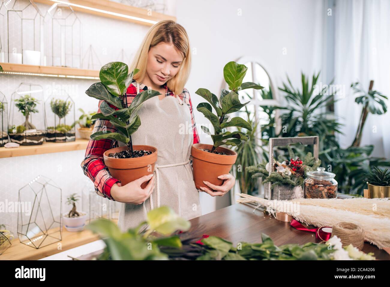 young and beautiful caucasian lover of plants and flowers look after ...