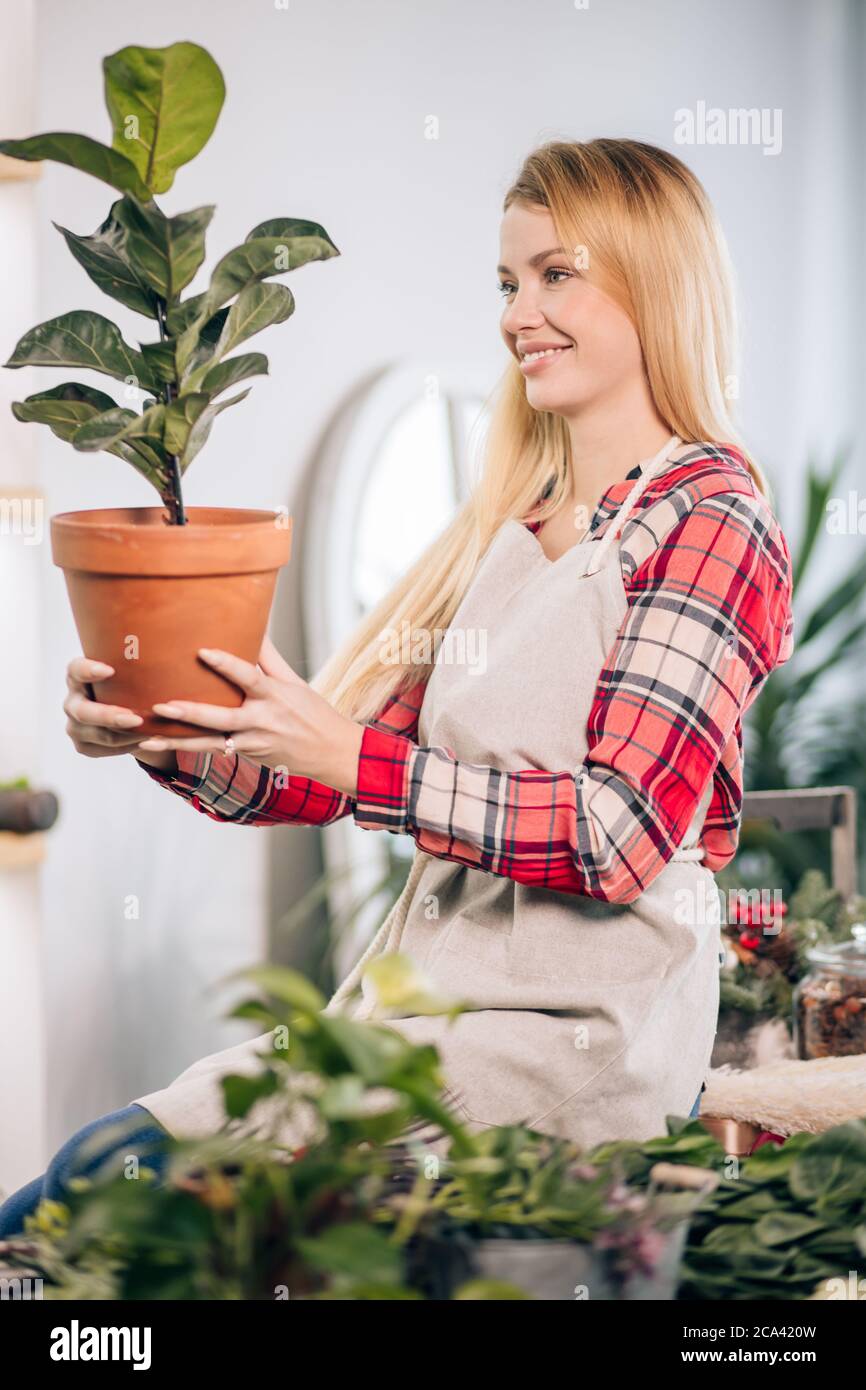 beautiful good-looking blond lady florist holding plants in pot, stand ...