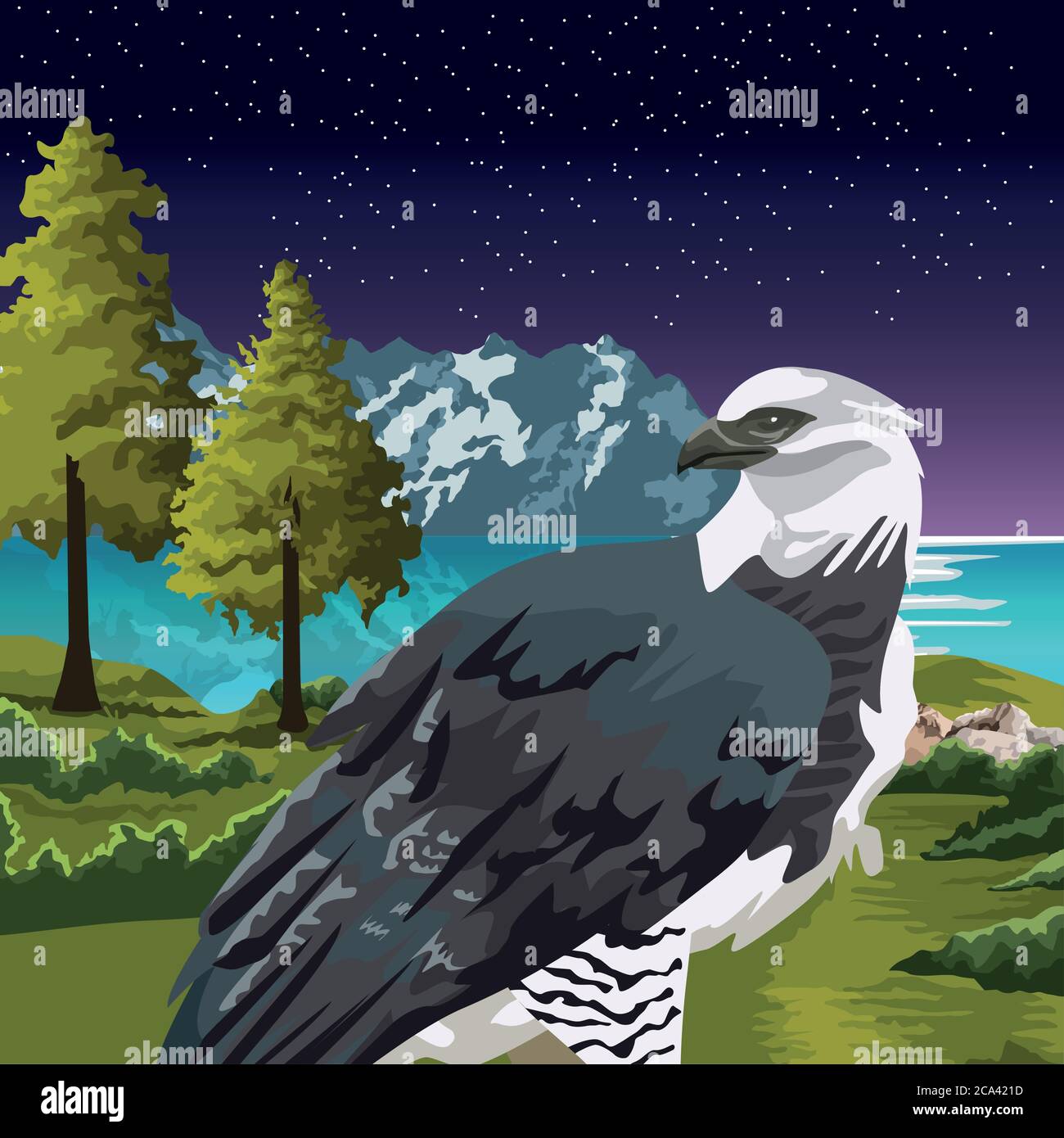 Bald eagle america lake Stock Vector Images - Alamy