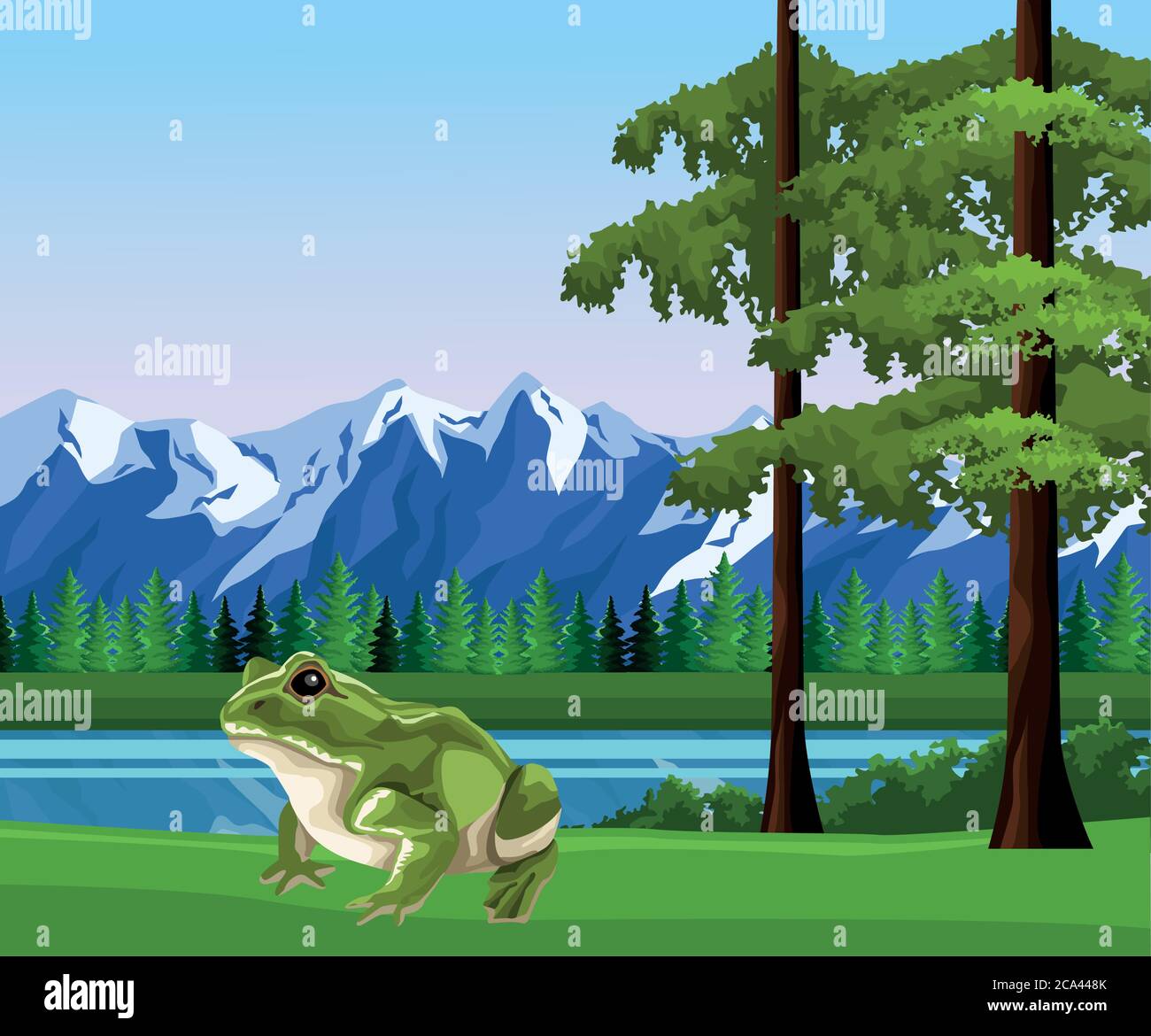 frog animal in the landscape scene vector illustration design Stock ...