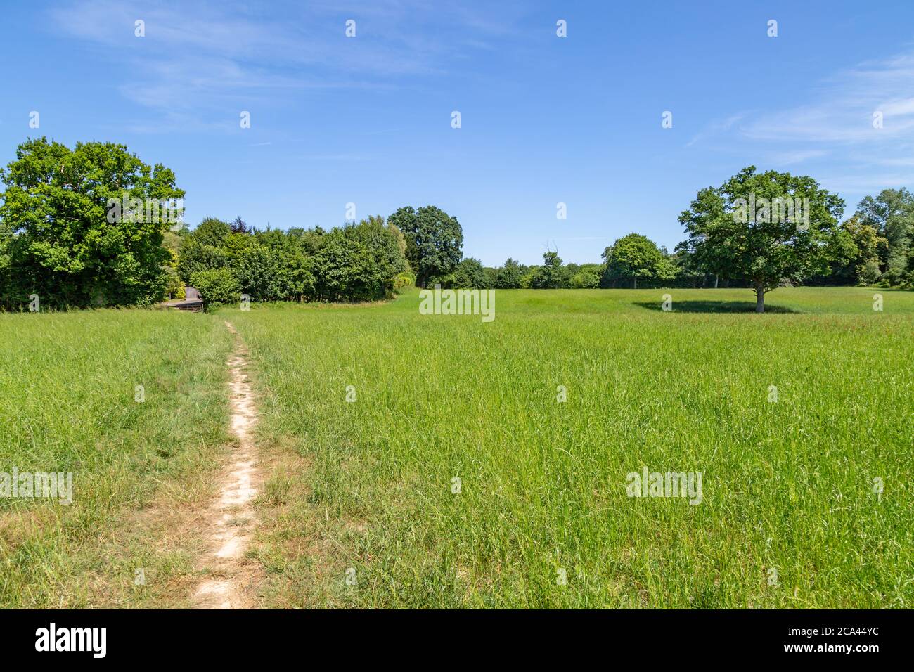 A pathway through a field in Sussex Stock Photo - Alamy