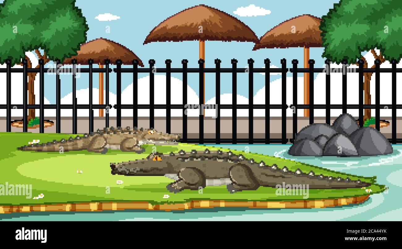 Alligator in the zoo scene illustration Stock Vector Image & Art - Alamy