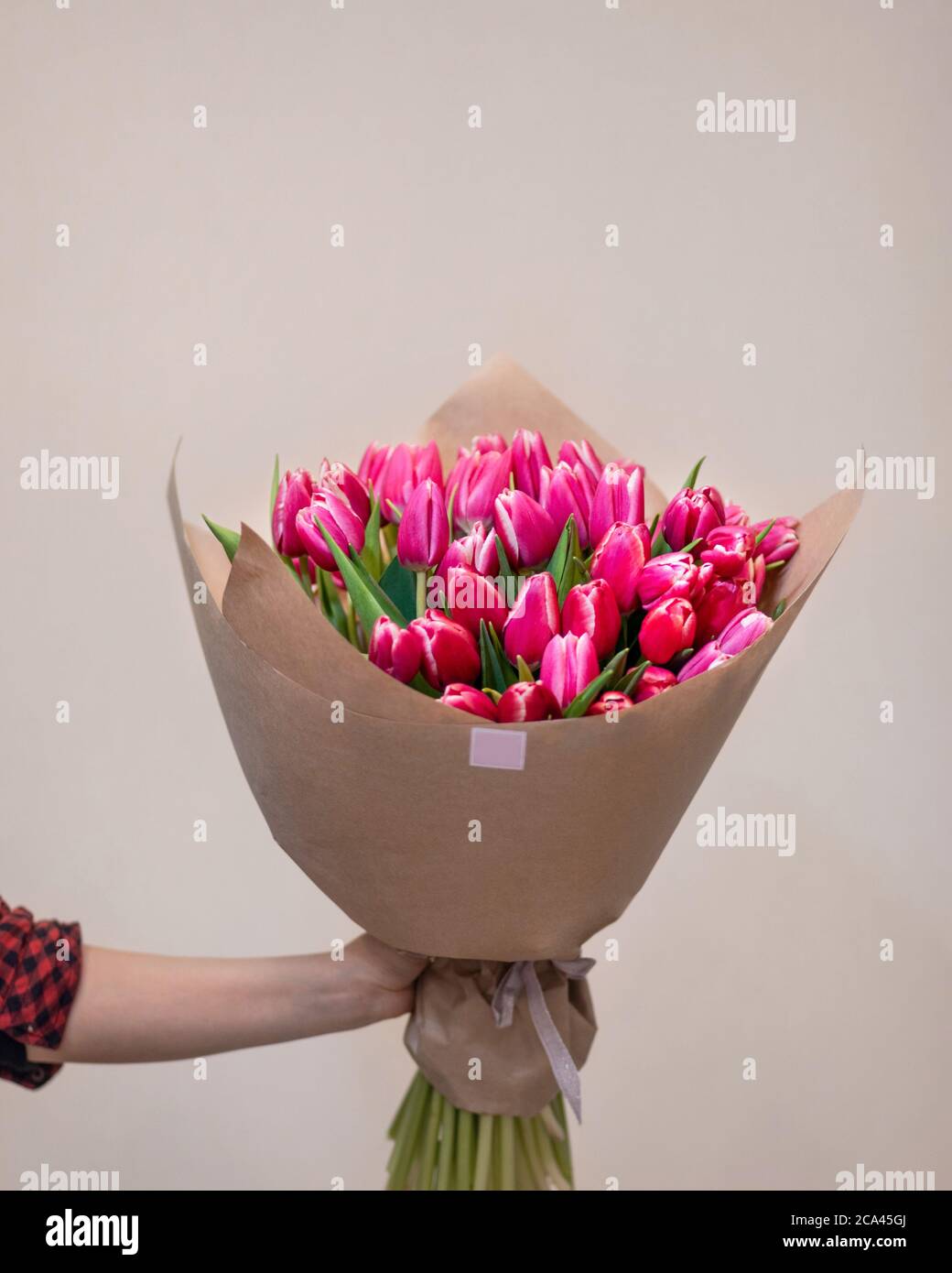 Pink tulpan flower bouquet Stock Photo - Alamy