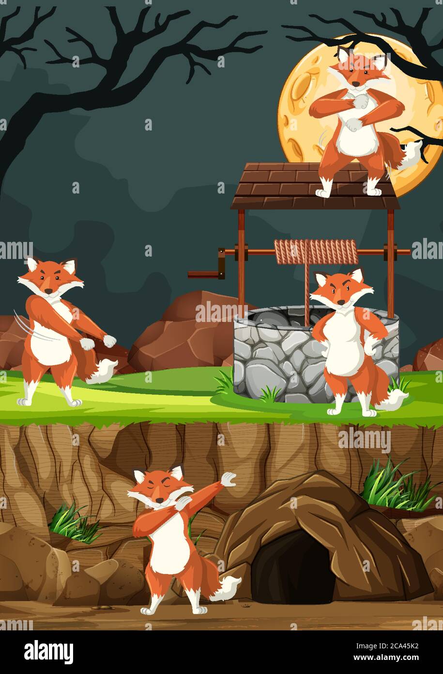 Wild foxes group in many poses in animal park cartoon style on night ...