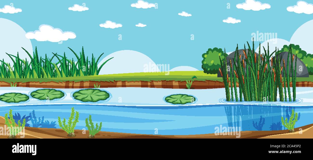 Blank landscape in nature park scene with under swamp illustration ...