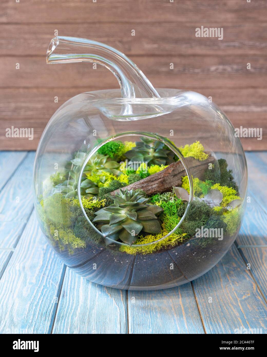 Cactus in glass vase hi-res stock photography and images - Alamy