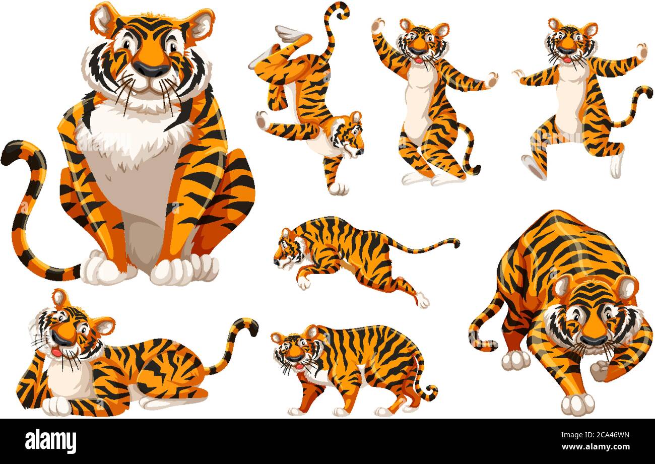 Tiger cartoon character hi-res stock photography and images - Alamy