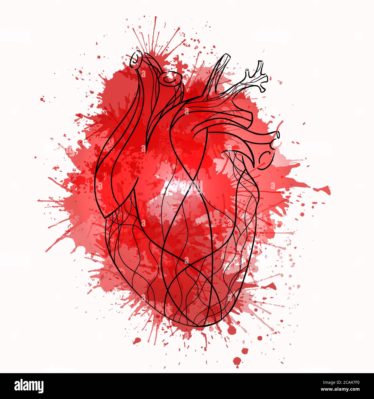 Real human heart Stock Vector Images - Alamy