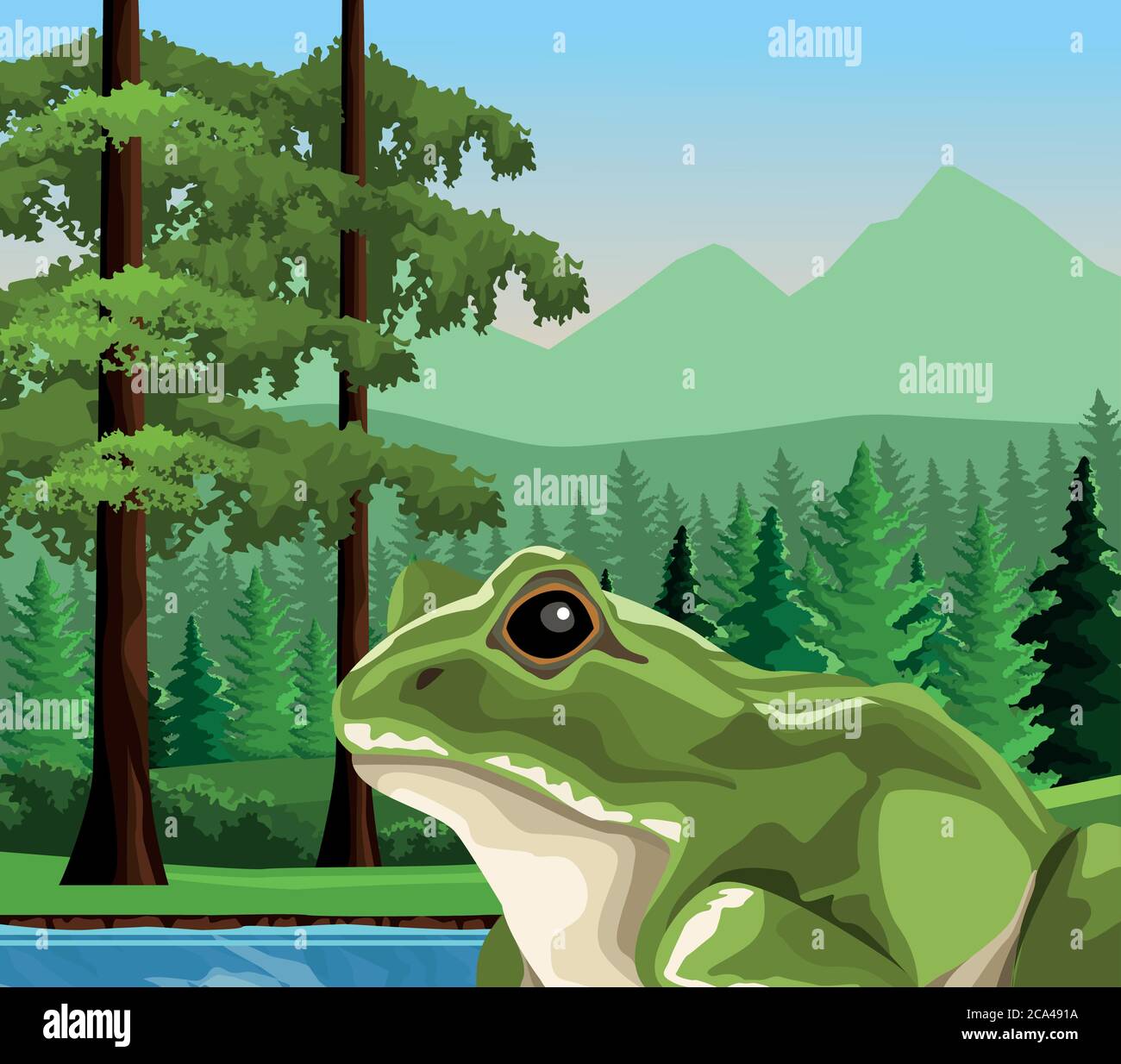 frog animal in the landscape scene vector illustration design Stock ...