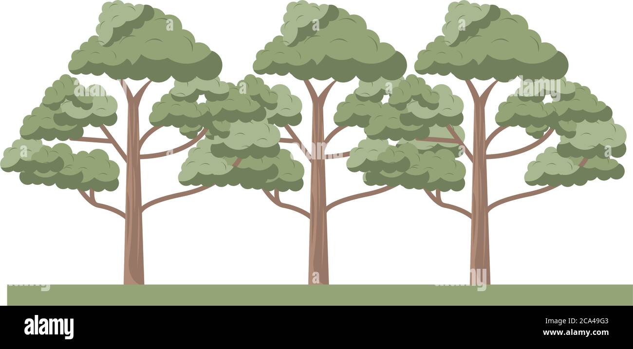 trees plants nature forest scene vector illustration design Stock ...