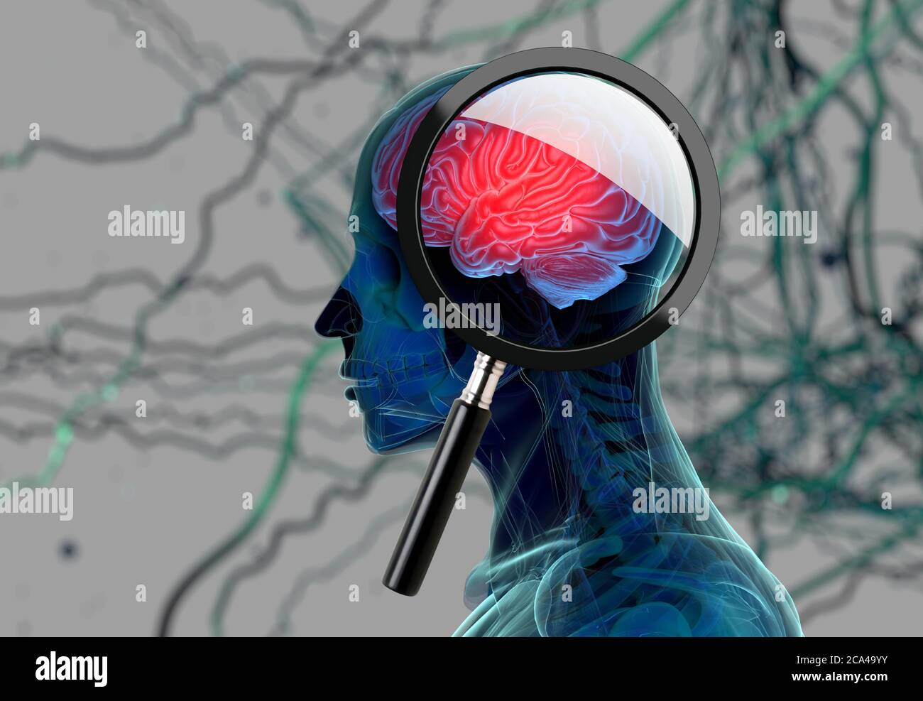 3d Medical Background With Magnifying Glass Examining Brain Depicting