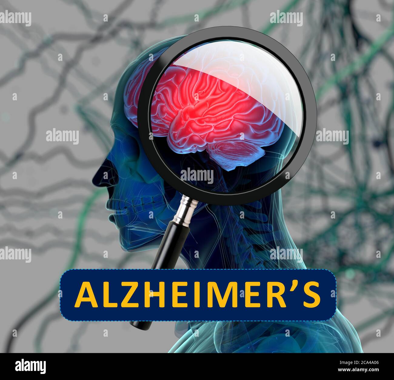 3d Medical Background With Magnifying Glass Examining Brain Depicting