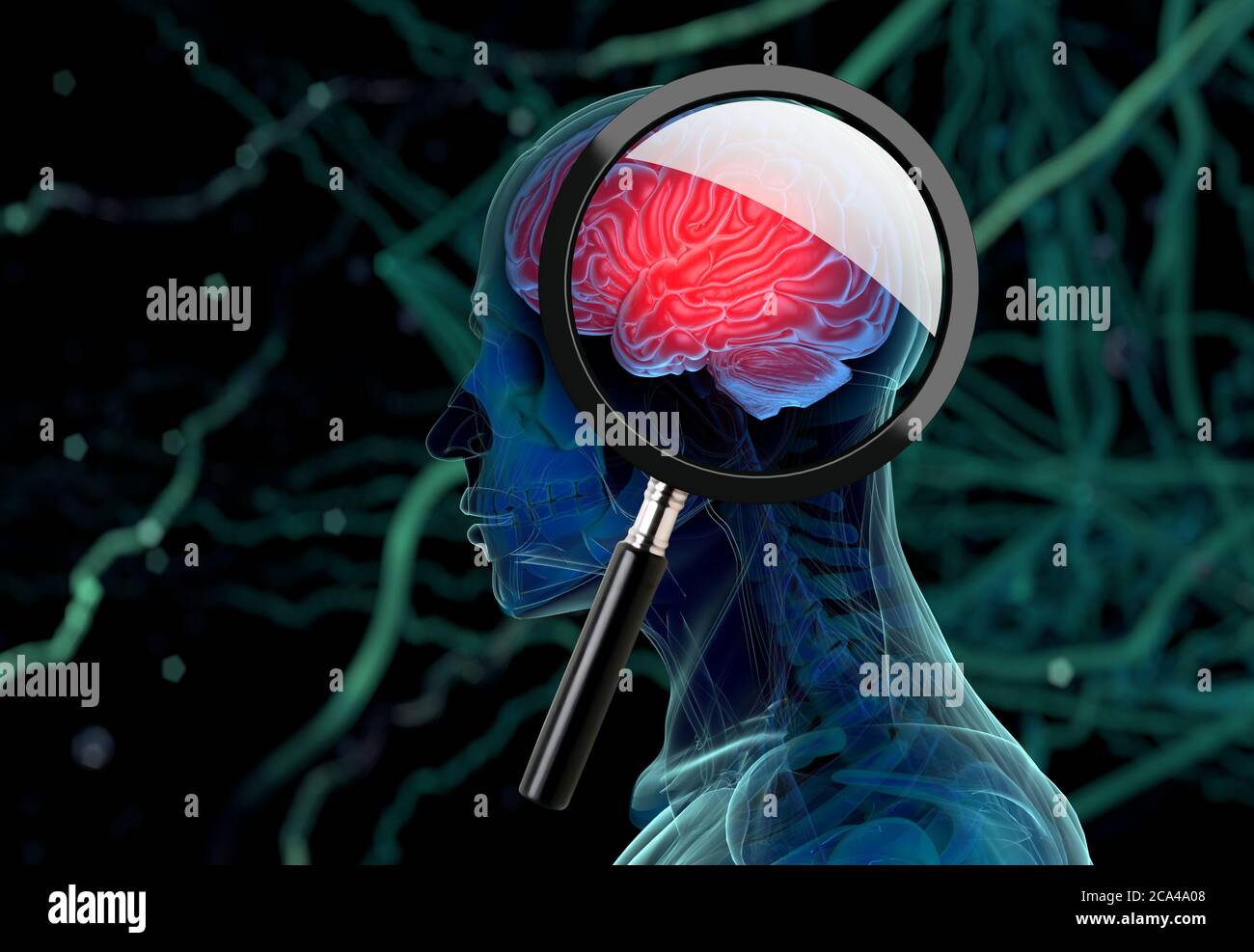 3d Medical Background With Magnifying Glass Examining Brain Depicting
