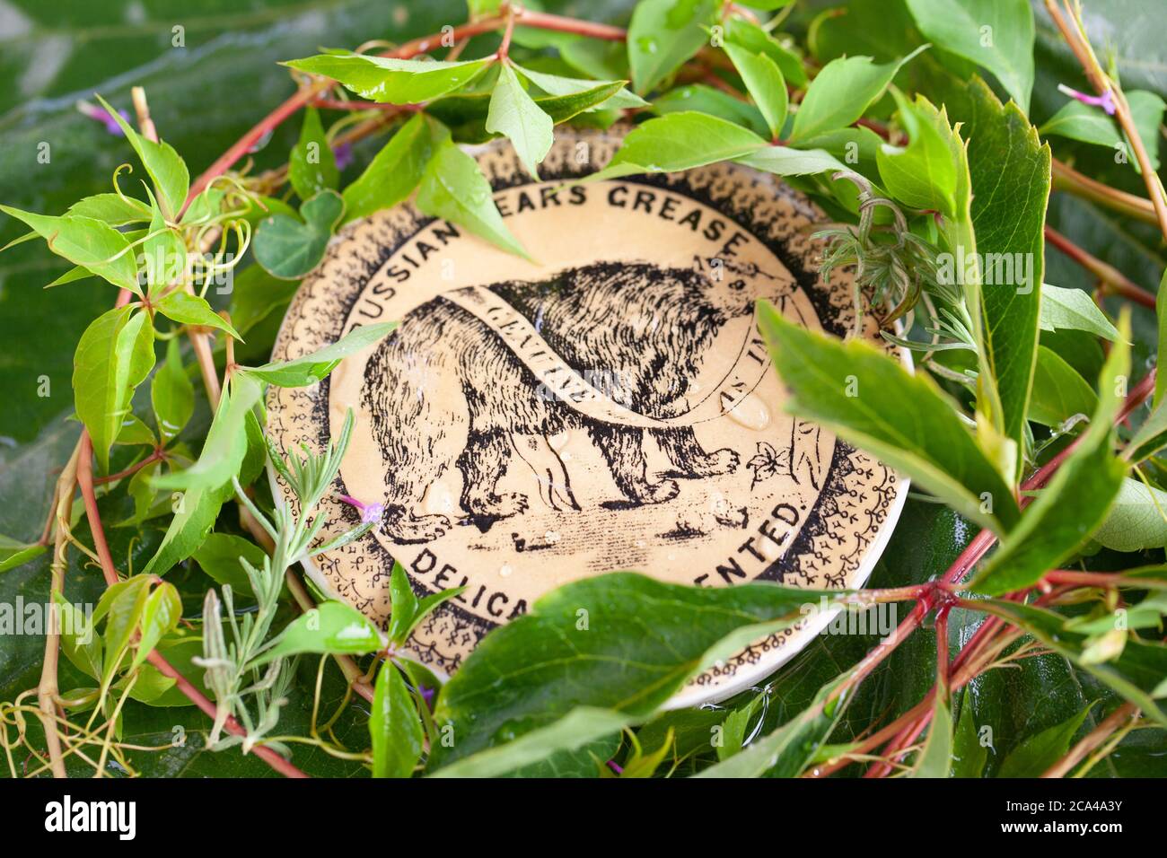 Concept / Still Life - Retro Label ' Russian Bears Grease' viewed ...