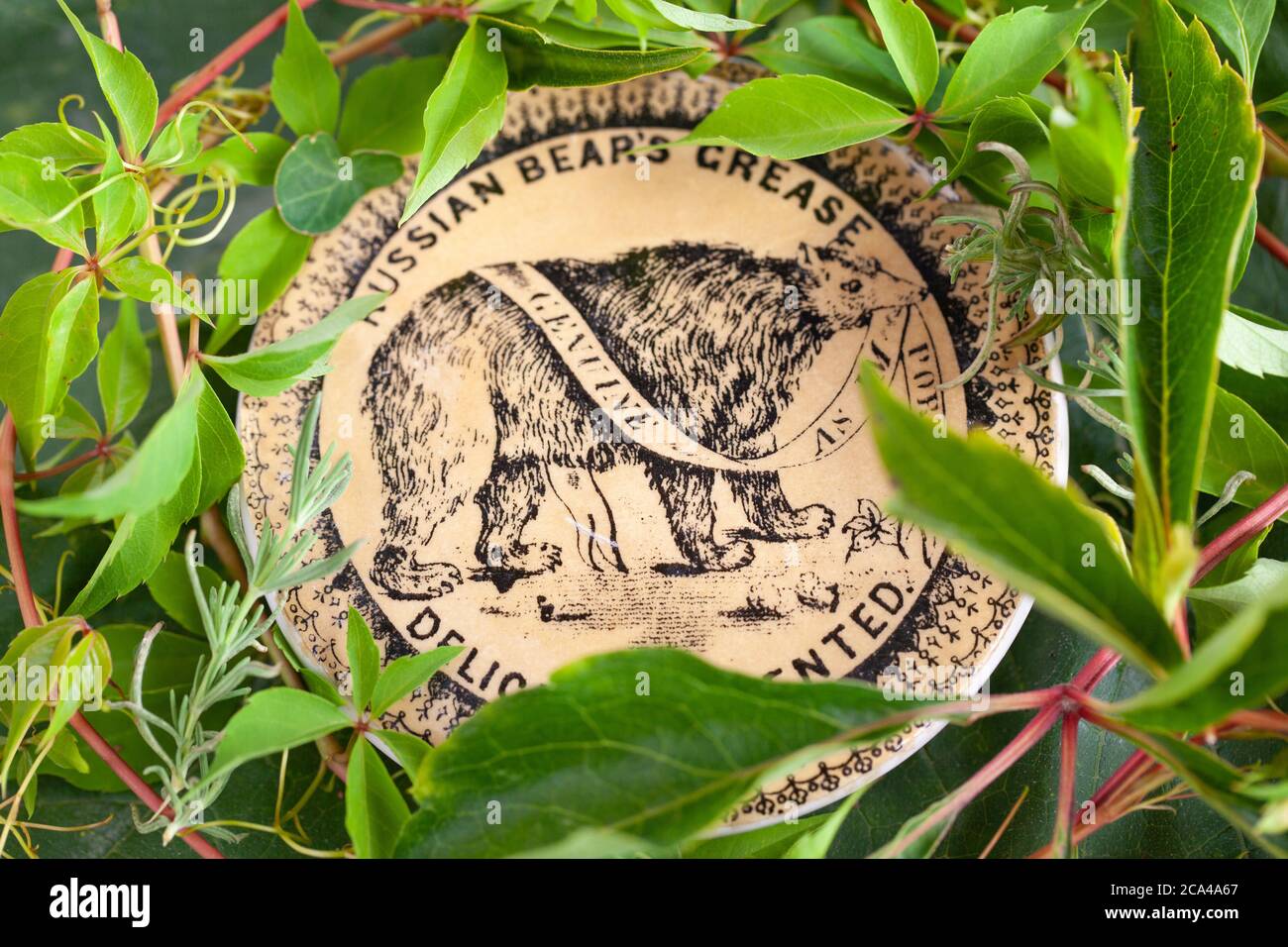 Concept / Still Life - Retro Label ' Russian Bears Grease' viewed ...