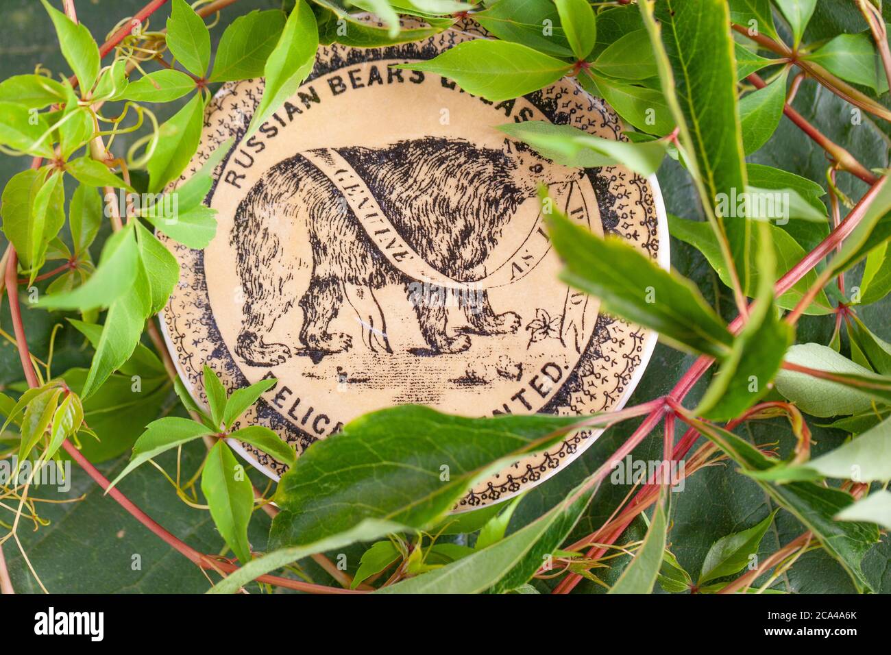 Concept / Still Life - Retro Label ' Russian Bears Grease' viewed ...