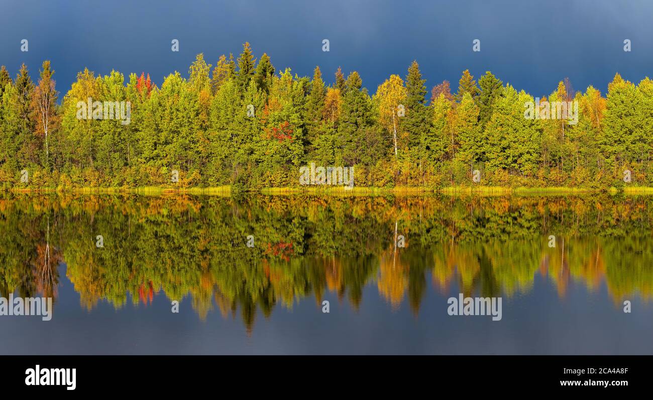Red and orange fall trees and their lake reflection hi-res stock ...
