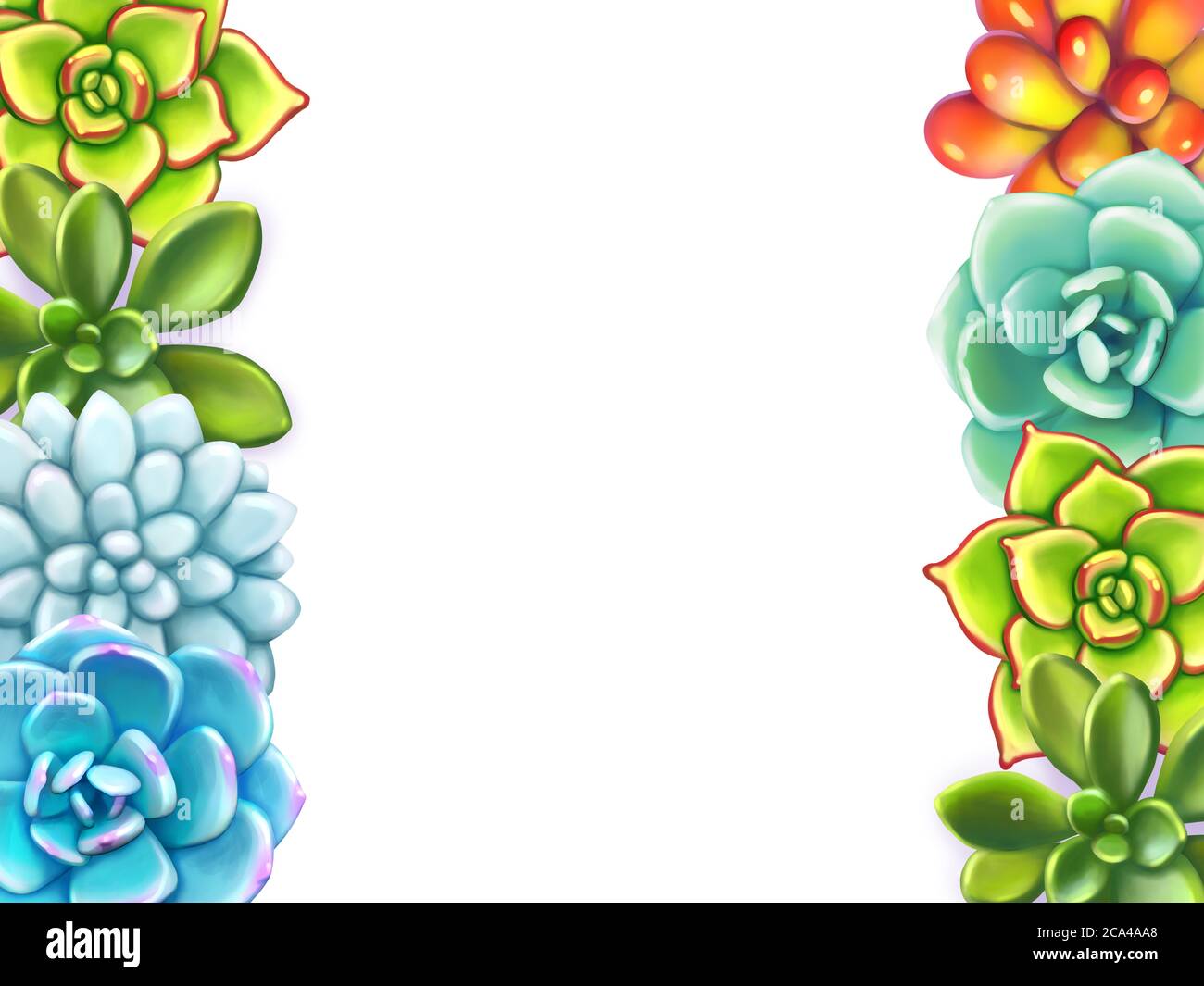 Floral Border. Succulents arranged un a shape of frame Stock Photo - Alamy