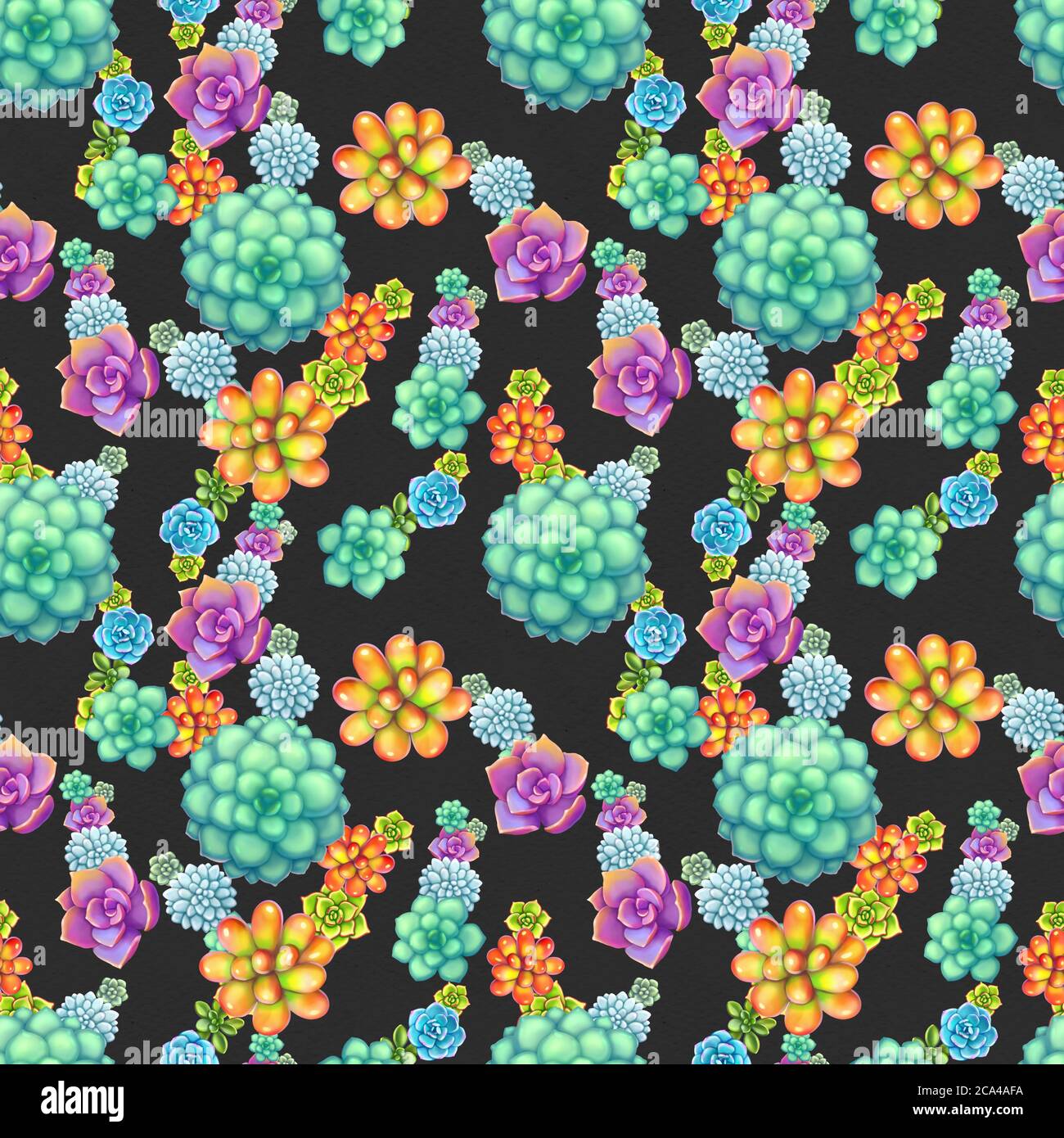 Seamless pattern with succulents. Beautiful floral print Stock Photo ...