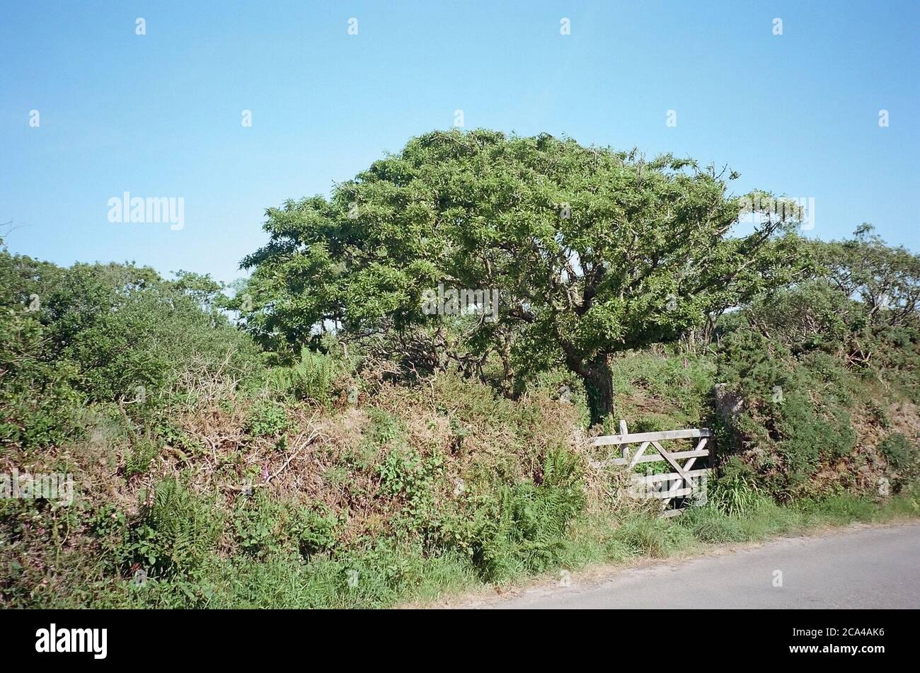Rural gateway hi-res stock photography and images - Alamy