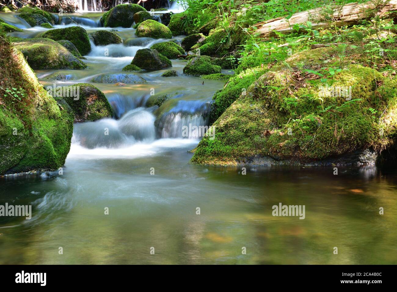 Beautiful water stream, boulders covered with moss, long exposure ...