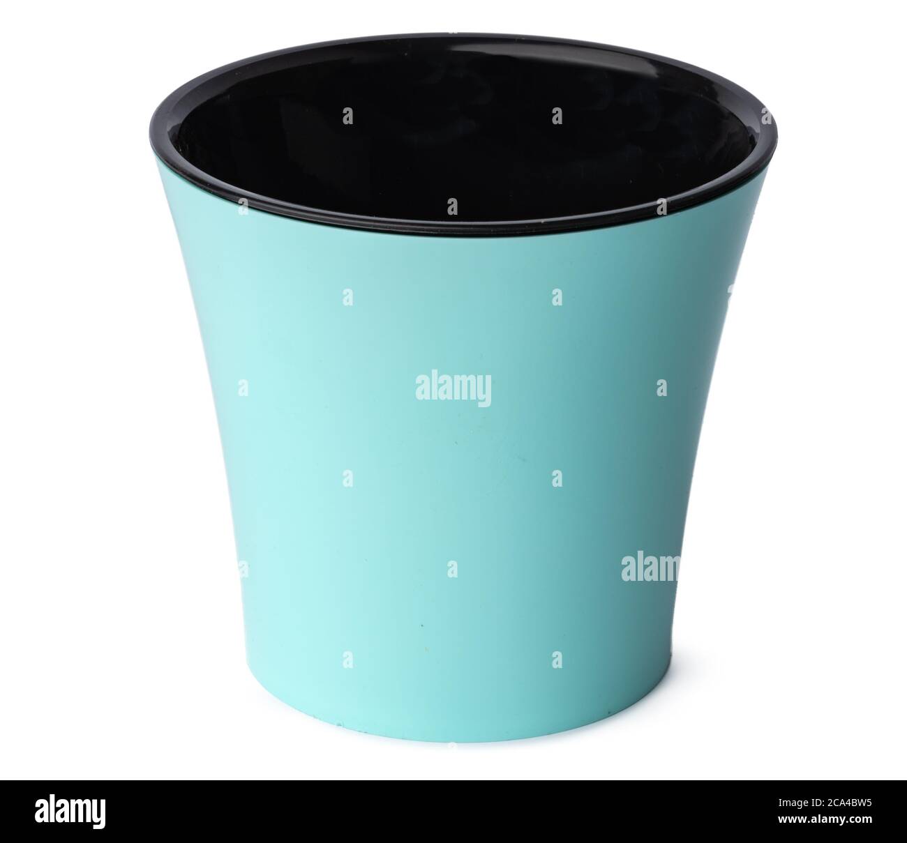 Old cottage garden plant Cut Out Stock Images & Pictures - Alamy