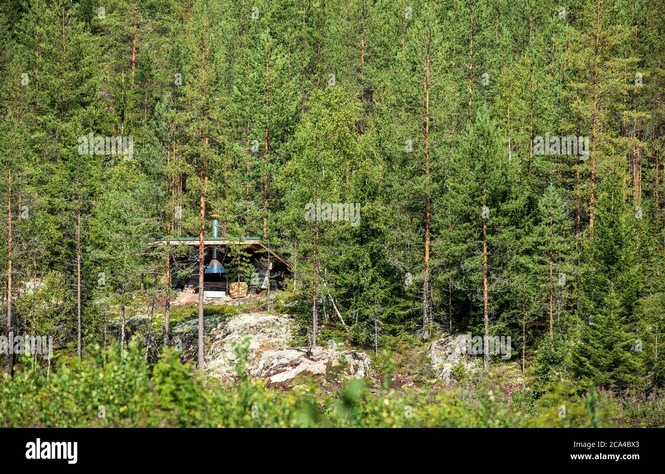 View of a distant wooden lean-to shelter , with fireplace , in the ...