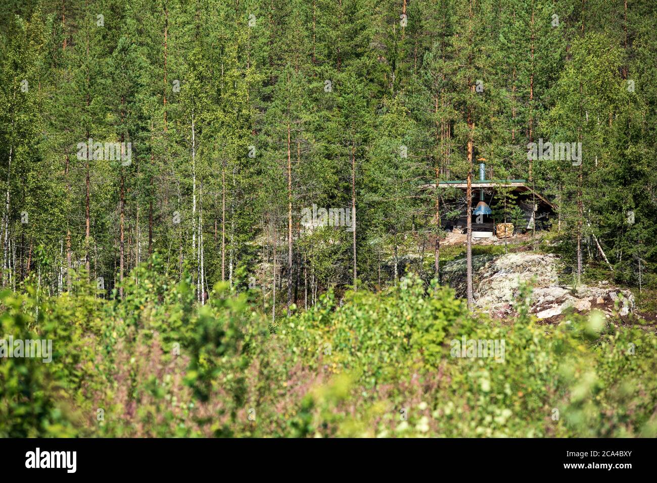 View of a distant wooden lean-to shelter , with fireplace , in the ...