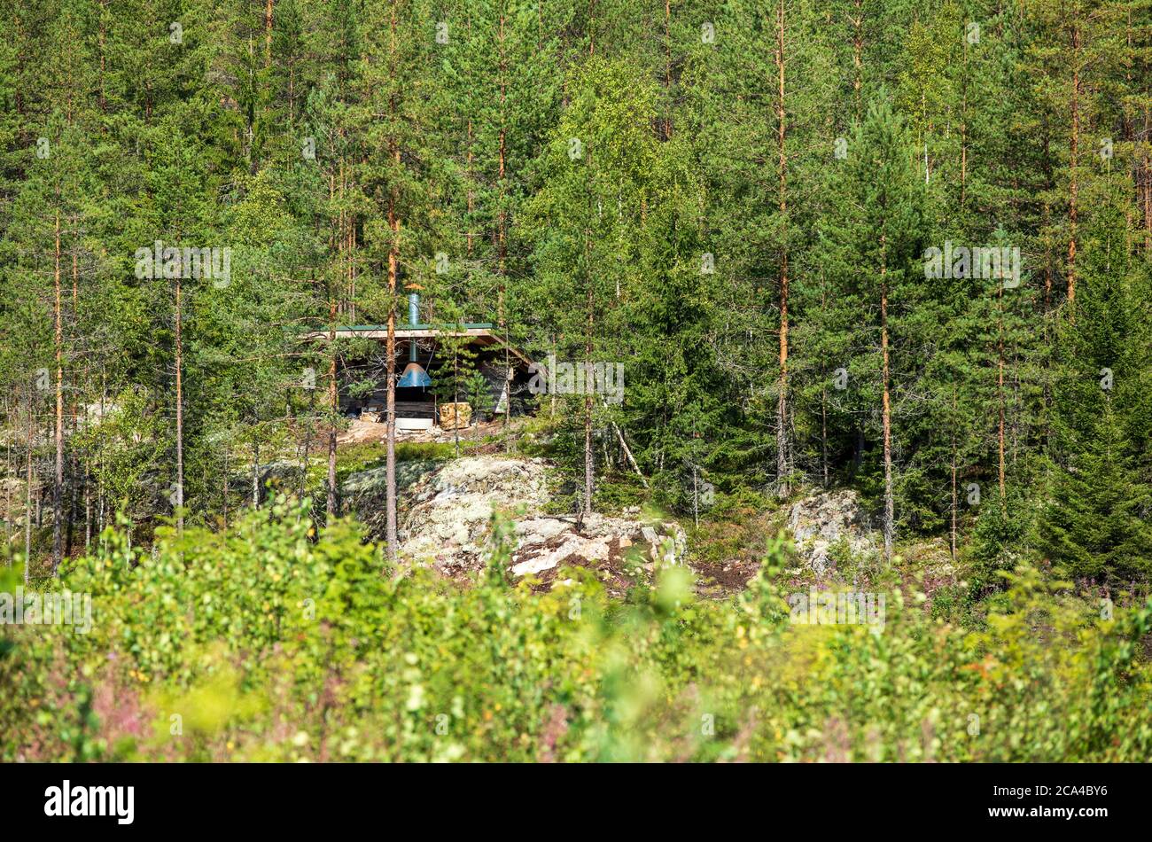 View of a distant wooden lean-to shelter , with fireplace , in the ...